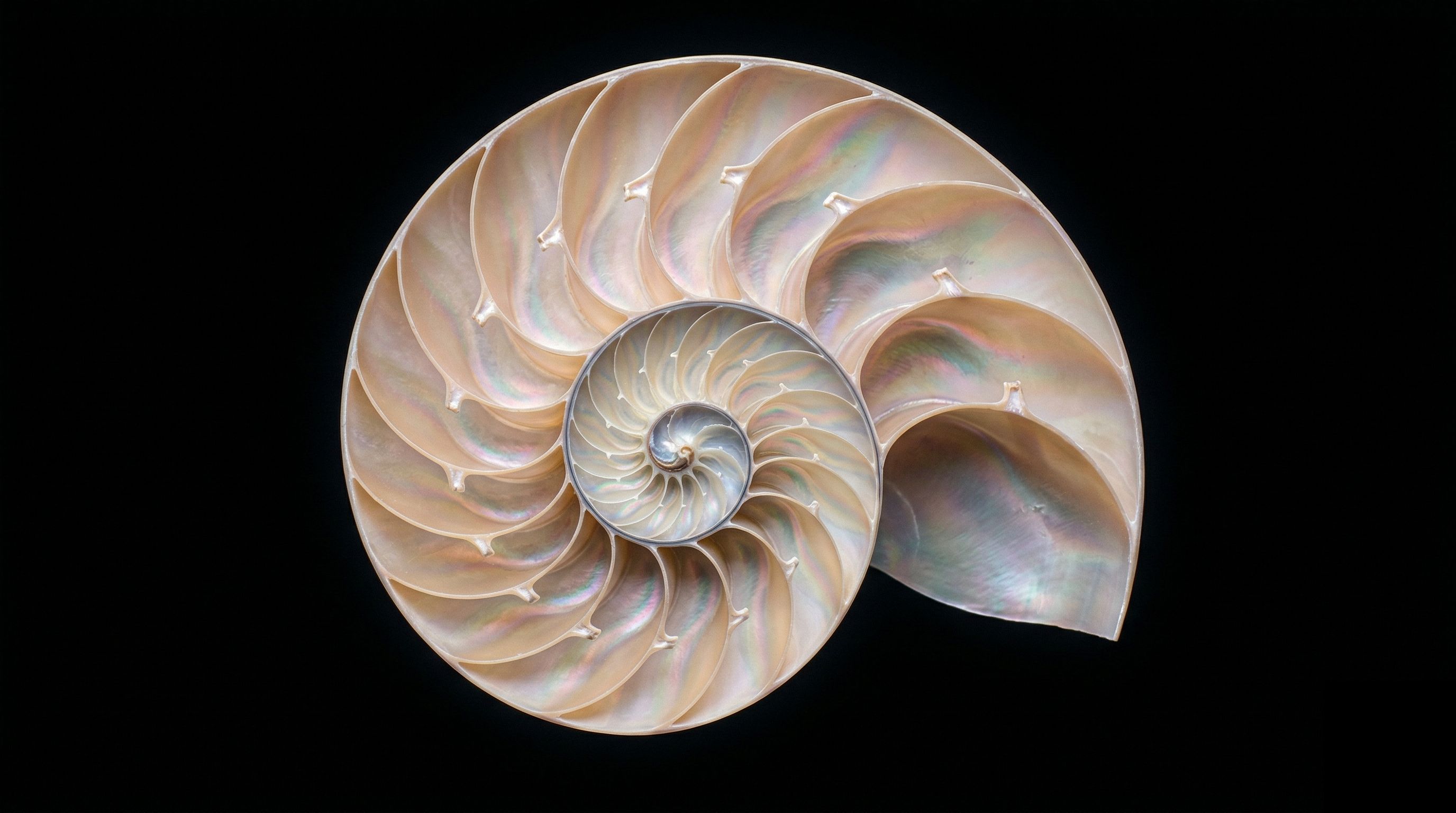 Technical Reflections: Deep Research with LangGraph and Tavily | Simon Ryu